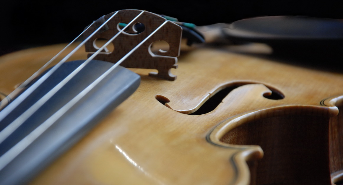 Custom Hand Made Violins - Instruments
